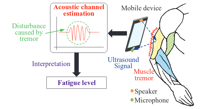 MyoMonitor: Evaluating Muscle Fatigue with Commodity Smartphones ...